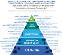 Kompletní průvodce Primal stravováním