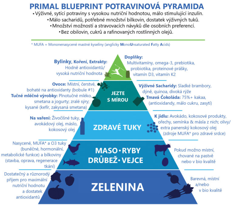 Kompletní průvodce Primal stravováním