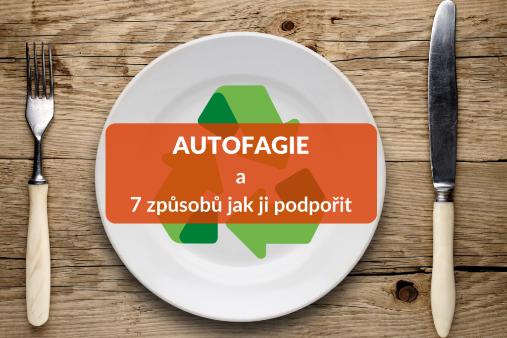 Autofagie - kompletní průvodce